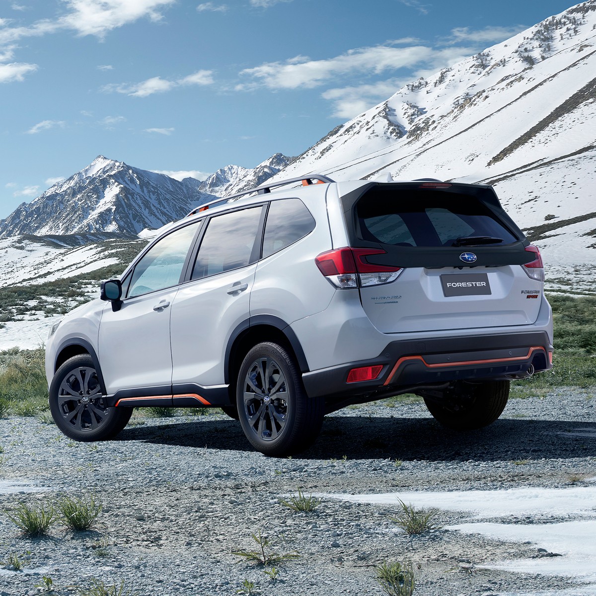 Subaru Forester – Spacious & Versatile | Subaru of New Zealand