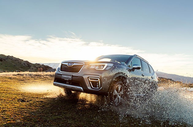 Forester | Subaru of New Zealand